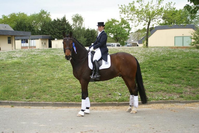 Over ons – Dressuurstal Ilona Goris